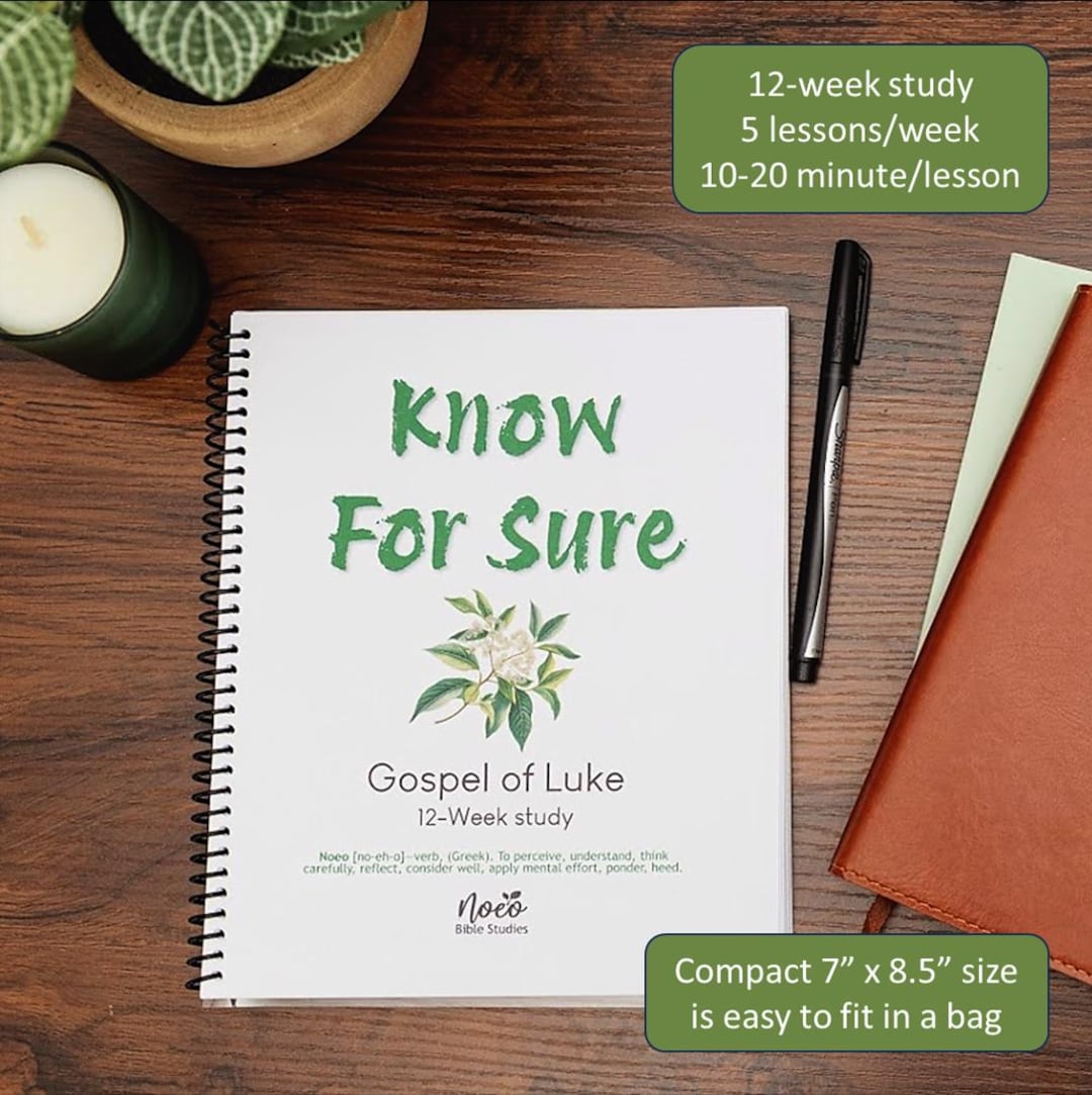 Gospel of Luke Bible Study Workbook: 12-week Study, Spiral-bound W ...