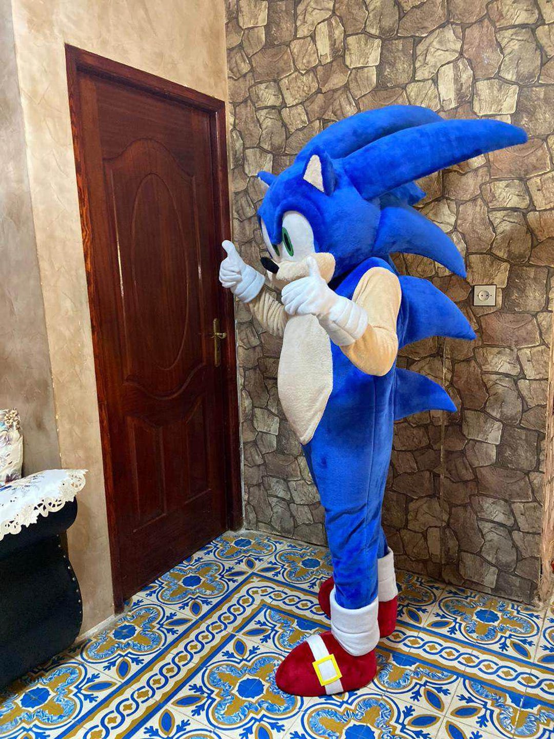Blue Speed Runner Mascot Costume for Adults – Handmade Character Suit ...