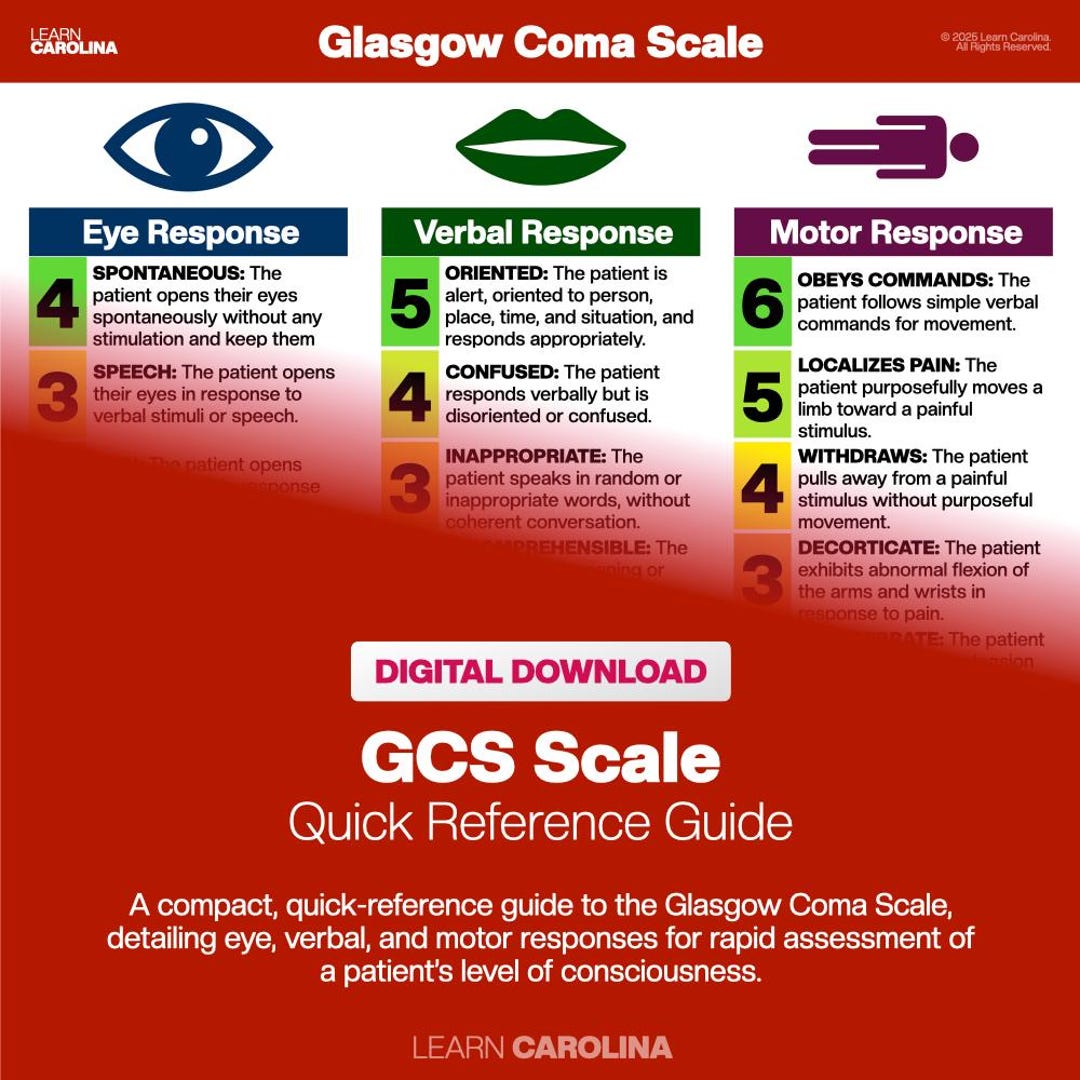 GCS Scale Quick Reference Guide - Etsy
