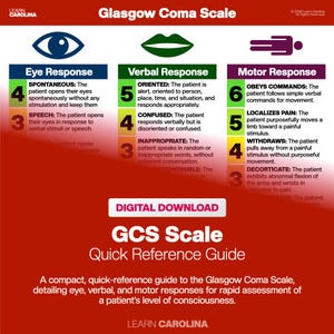 GCS Scale Quick Reference Guide - Etsy