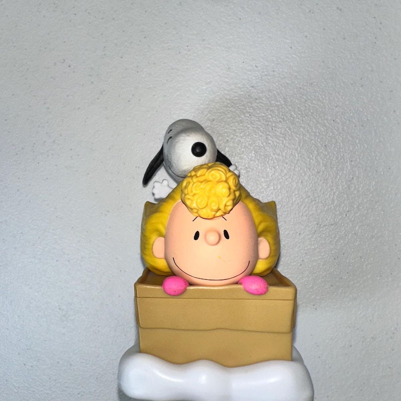 Peanuts Sally and the Underwater Camera - Etsy Canada