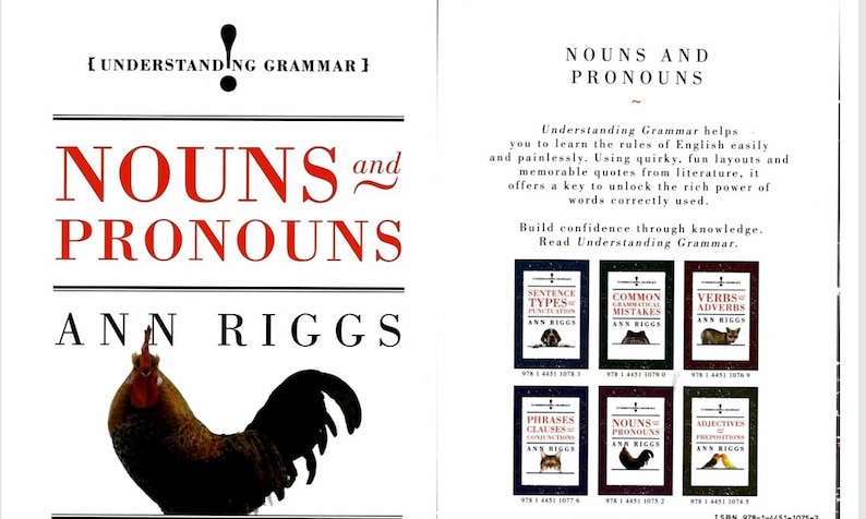 Understanding Grammar: Nouns and Pronouns, English Grammar Book - Etsy
