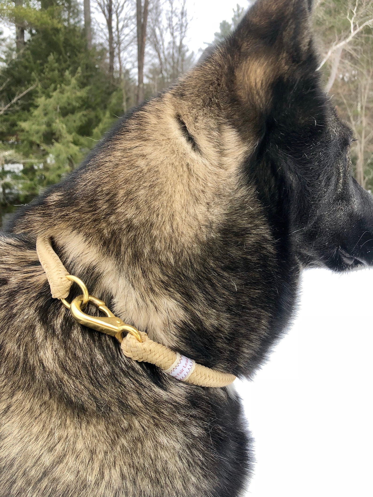 Rope Dog Collar Nautical Dog Collar Handmade Fair Leads - Etsy