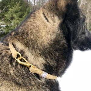 Rope Dog Collar - Nautical Dog Collar - Handmade - Fair Leads - Tan ...