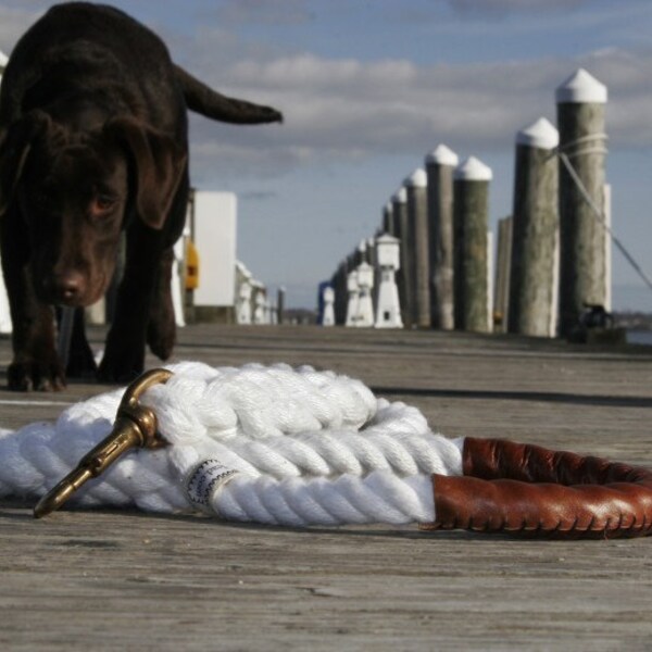 White Leash - Etsy