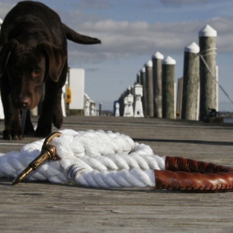 White Leash - Etsy