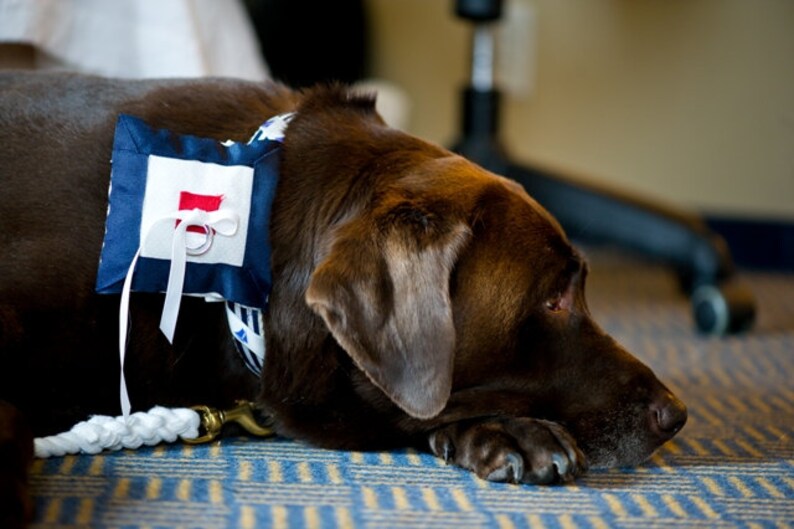 Rope Dog Leash Perfect for a Nautical Wedding Handmade | Etsy