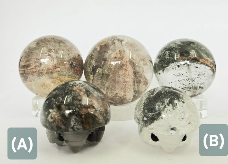 Garden Phantom Quartz ⊹ Animal Carving ⊹ Elephant ⊹ Capybara - Etsy