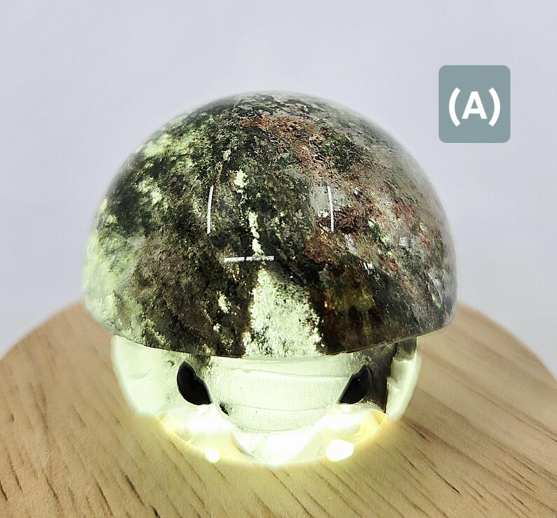 Garden Phantom Quartz ⊹ Animal Carving ⊹ Elephant ⊹ Capybara - Etsy