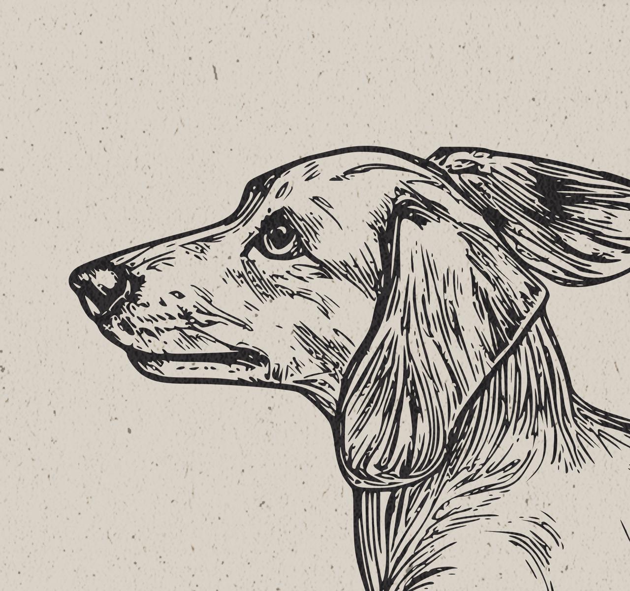 Dachshund Weiner Dog Art Print: Cottage Core Neutral Wall Decor ...