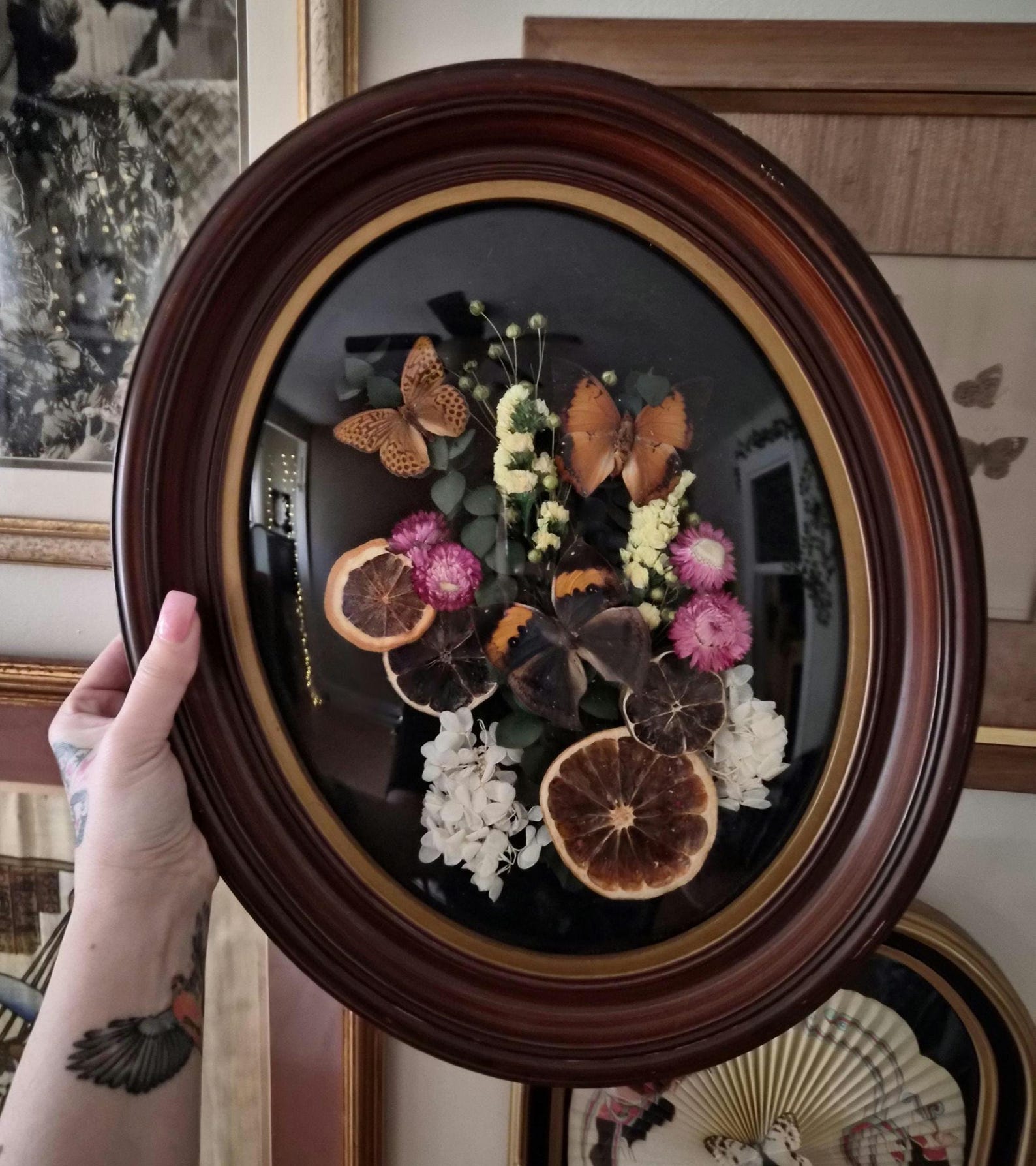 Real Butterfly Shadow Box Art – Vintage Bubble Glass Frame – Oval ...