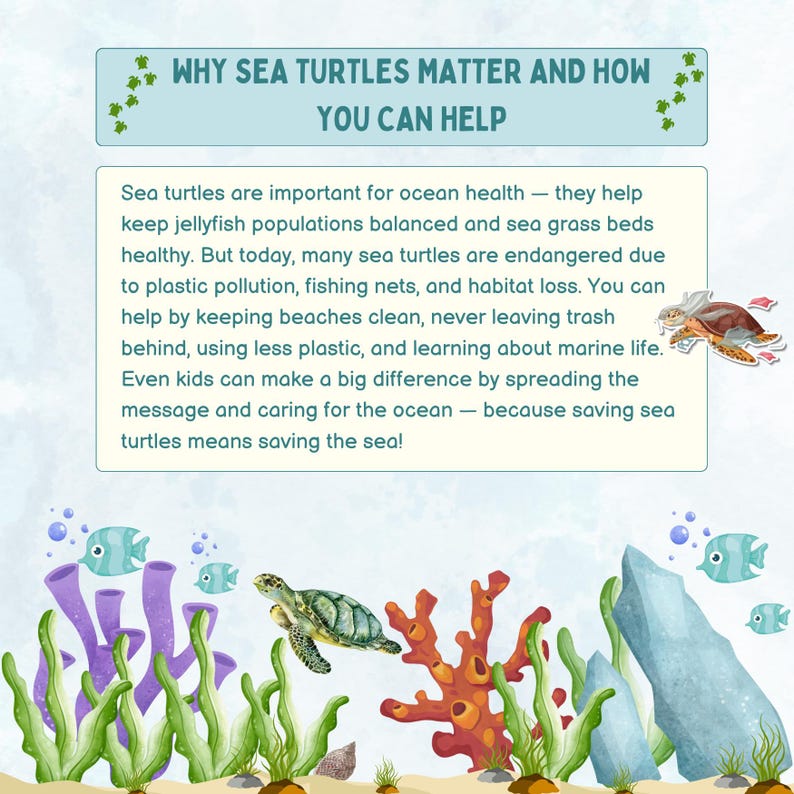Life Cycle of a Sea Turtle - Mini Educational Book - Etsy