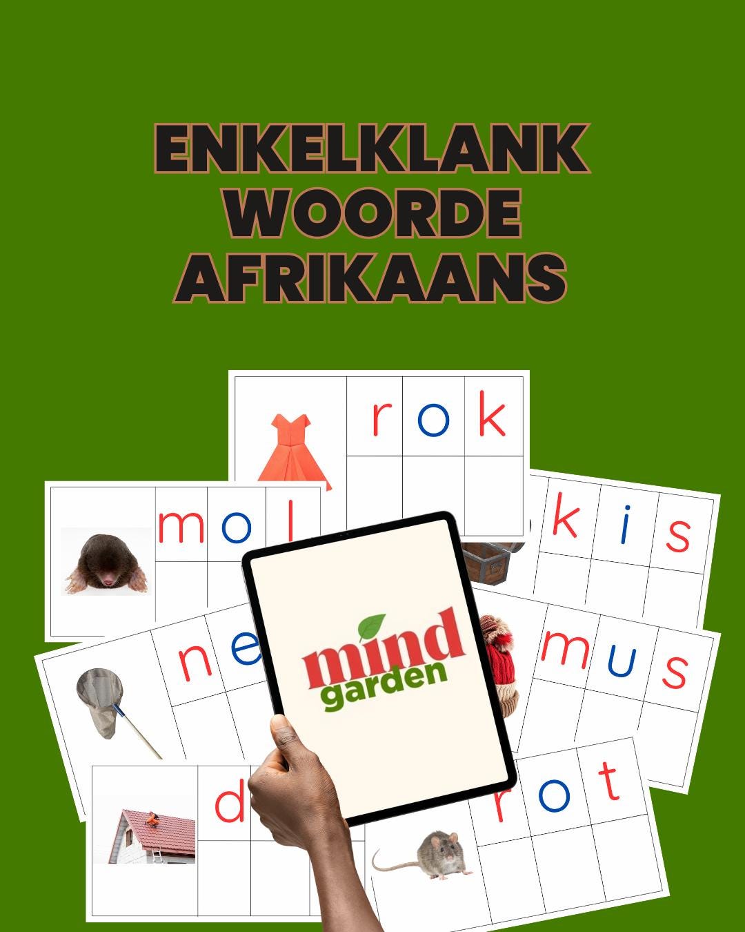 Afrikaans CVC Words Activity Worksheet | Reading and Writing Printables ...