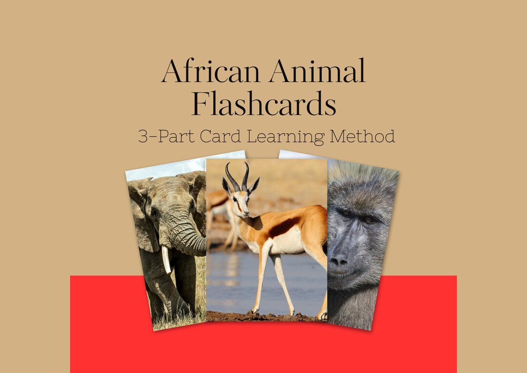 South African Animals Montessori 3-part Cards (PDF Printable) - Etsy