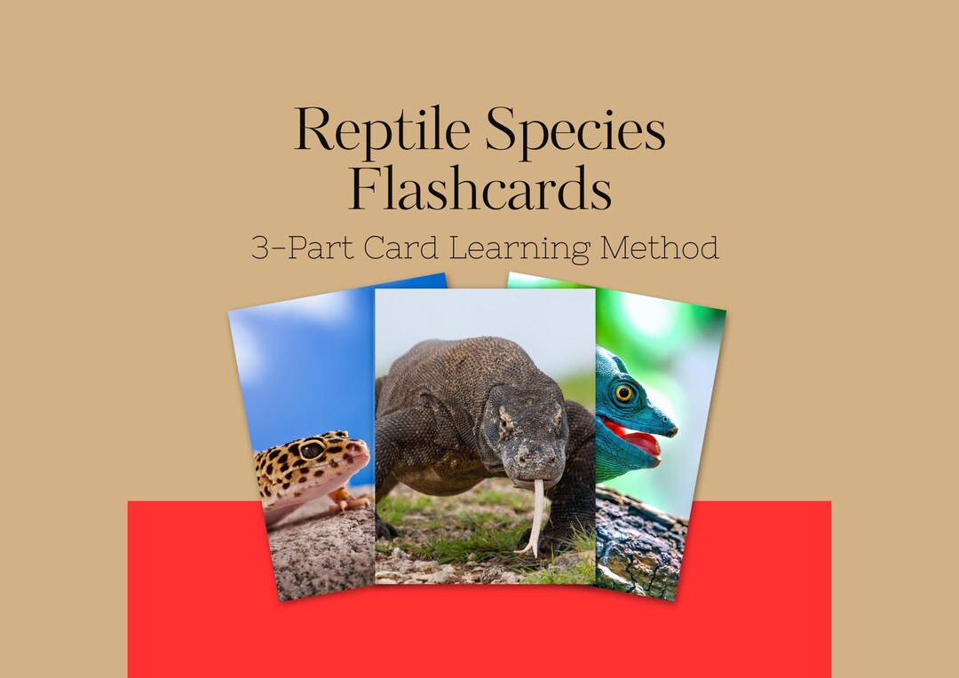 Reptile Flashcards Printable Montessori Materials Three Part Cards ...
