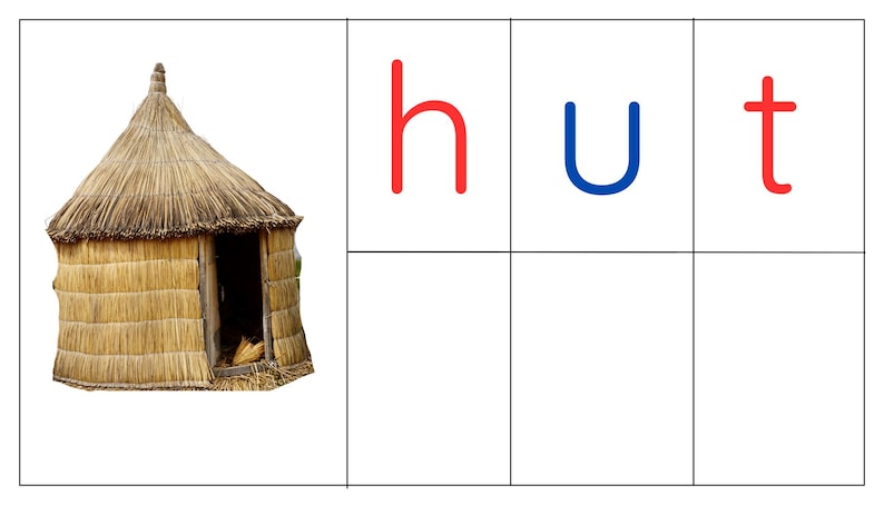 Afrikaans CVC Words Activity Worksheet | Reading and Writing Printables ...