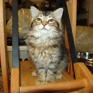 Roman Pilismarot, Hungary 11 Thread Band or Tape Weaving Heddle, Back ...