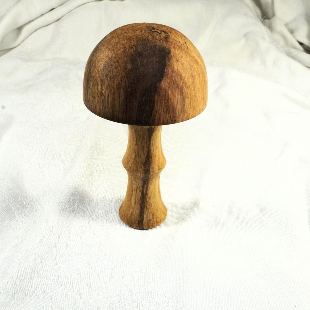 Darn It Kit, Darning Tool Plus 12 Darning Needles...spalted Persimmon ...