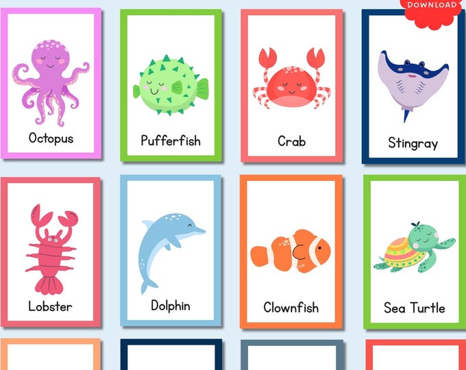 Ocean Flash Cards Animal Flash Cards for Toddlers Montessori Homeschool ...