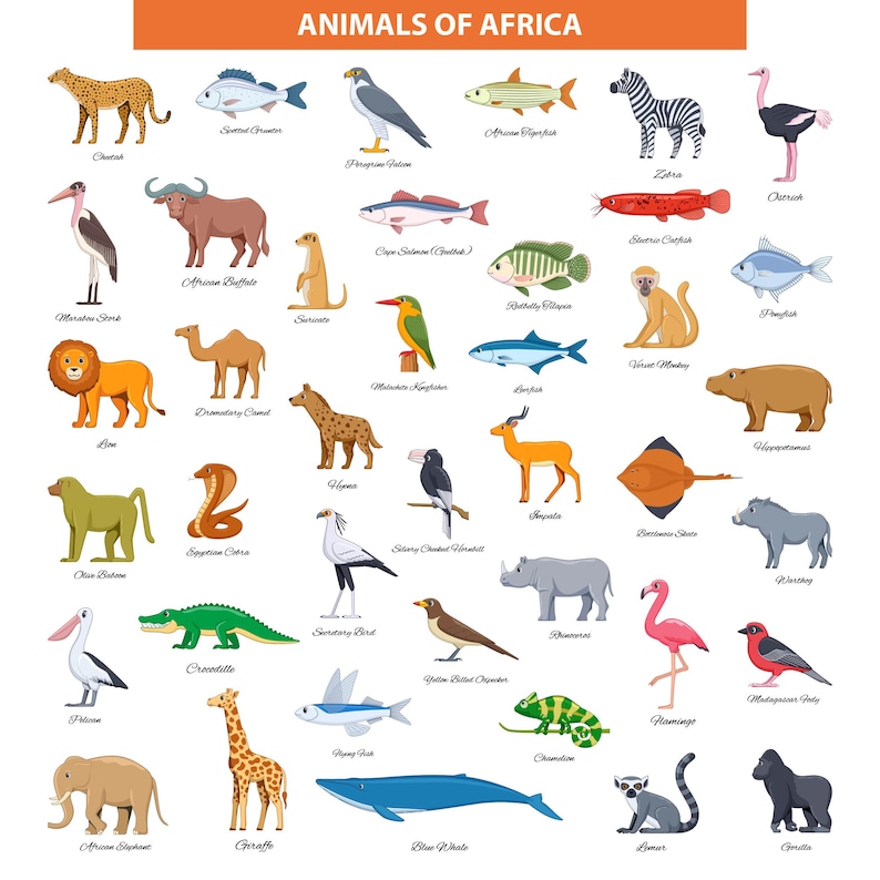 World Animals Icon Mega Bundle, 234 Clip Art Illustrations (ai, Eps ...