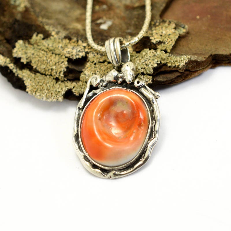 Operculum - Etsy