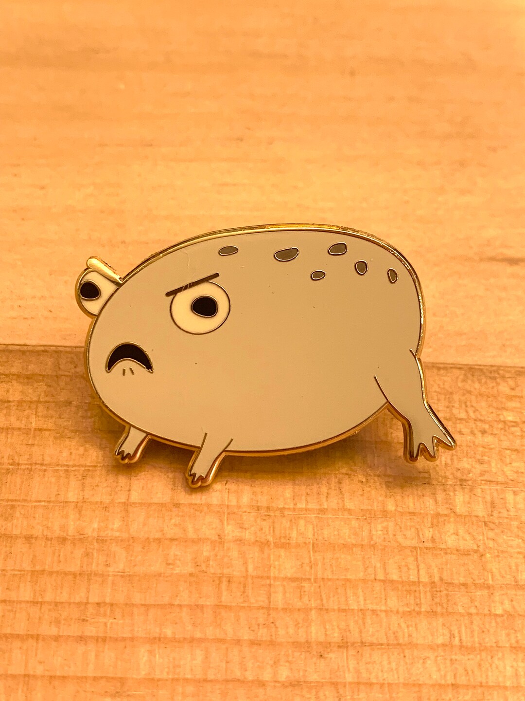 Desert Rain Frog Enamel Pin - Etsy