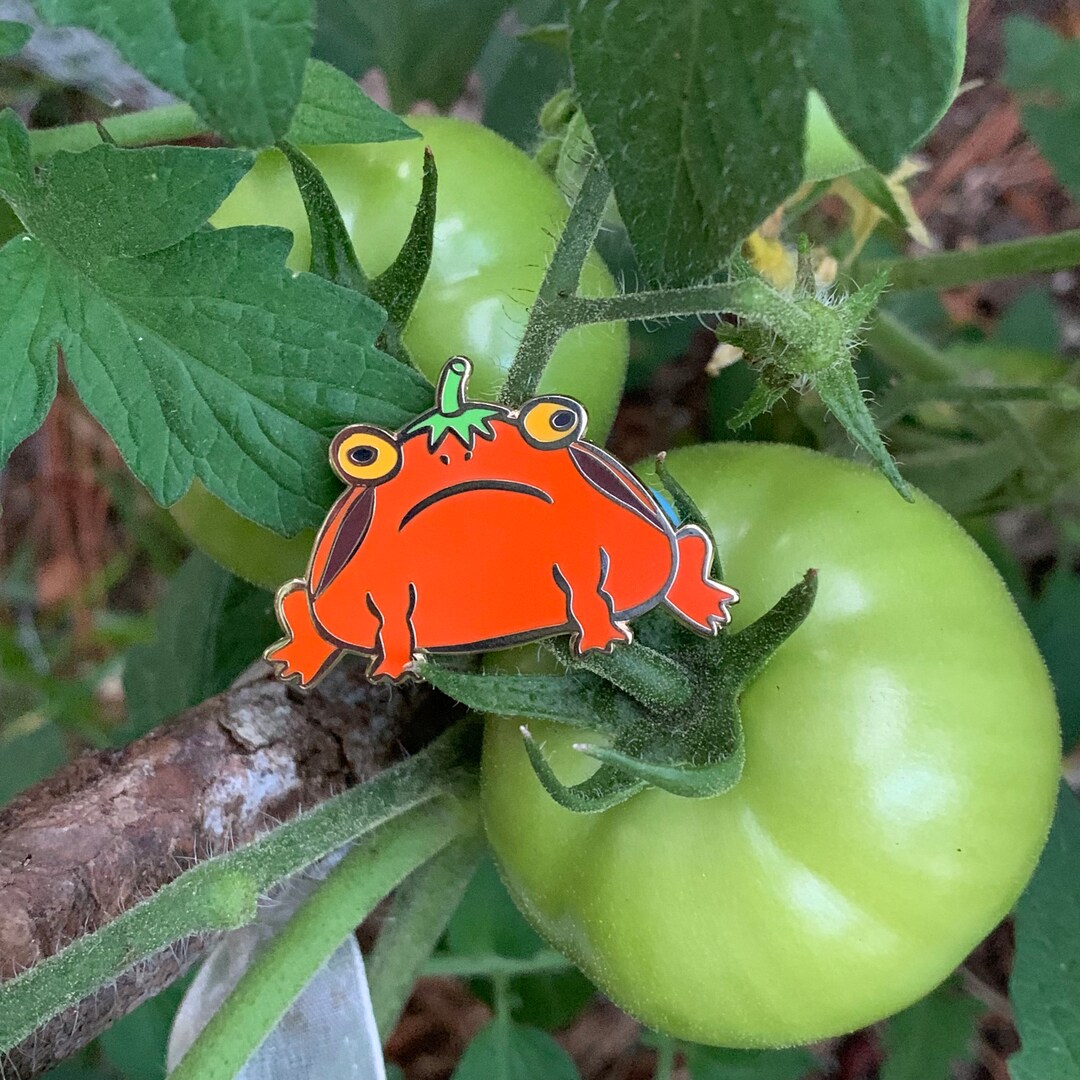 Tomato Frog Enamel Pin - Etsy