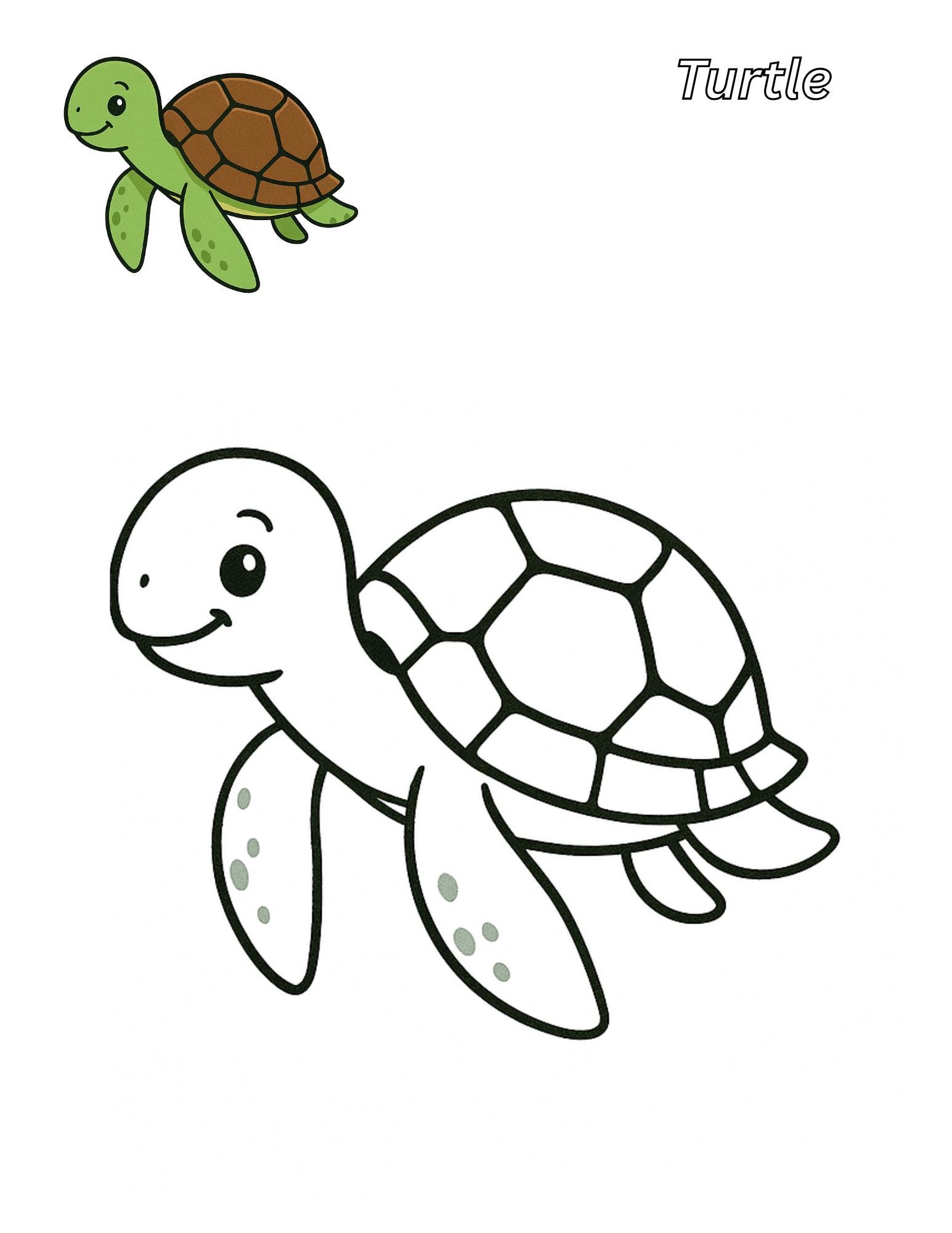Ocean Animals Coloring Page | Under the Sea Kids Activity (digital ...