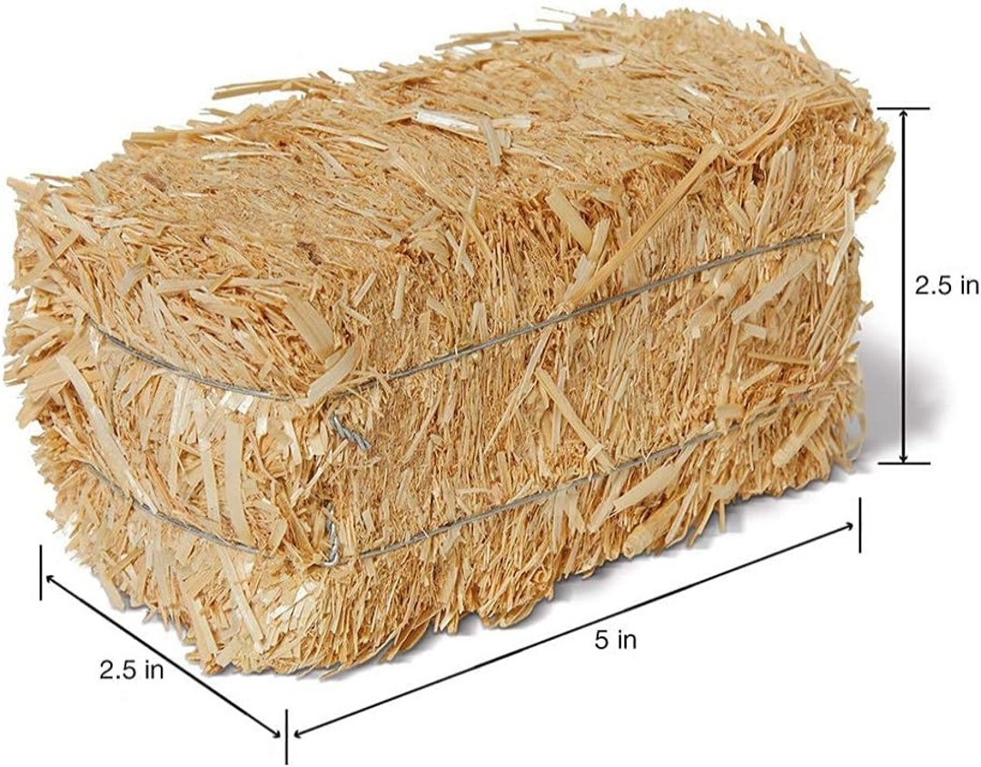 Floralcraft Supply Fall Harvest Craft Straw Bale of Hay 5inch 2pc Set ...