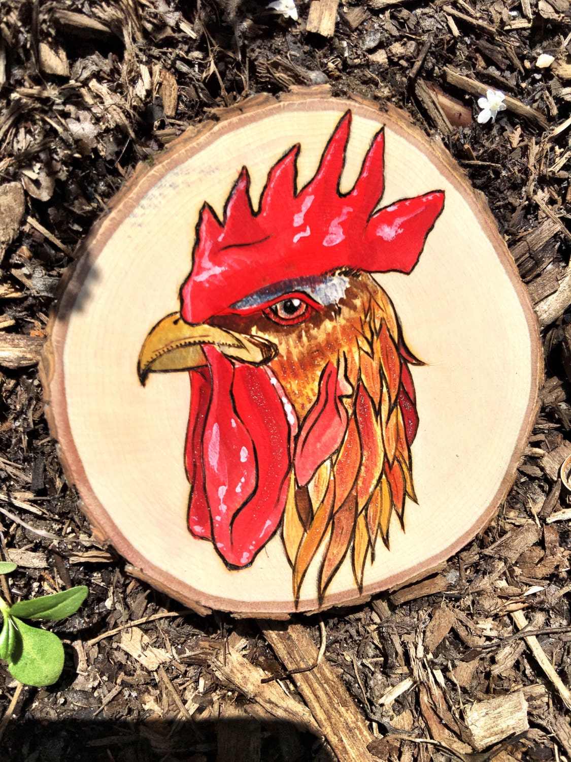 Rooster Coaster Set of 4 Handpainted and Woodburned on Maple - Etsy