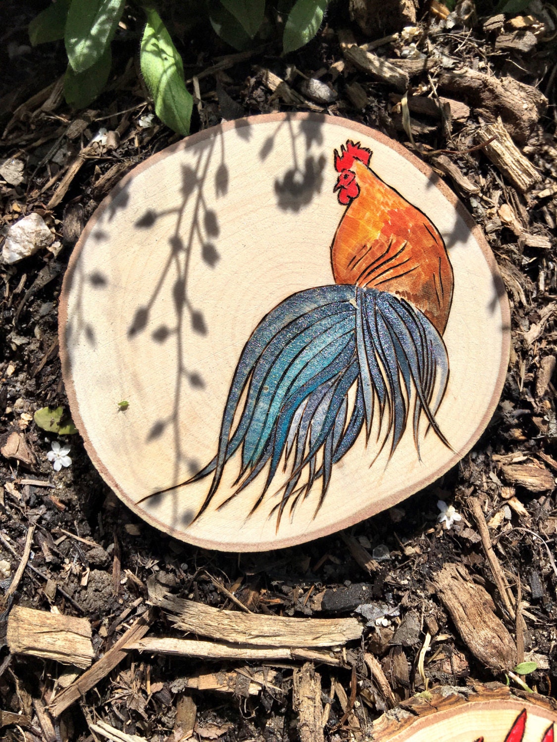Rooster Coaster Set of 4 - Handpainted and Woodburned on Maple Tree ...
