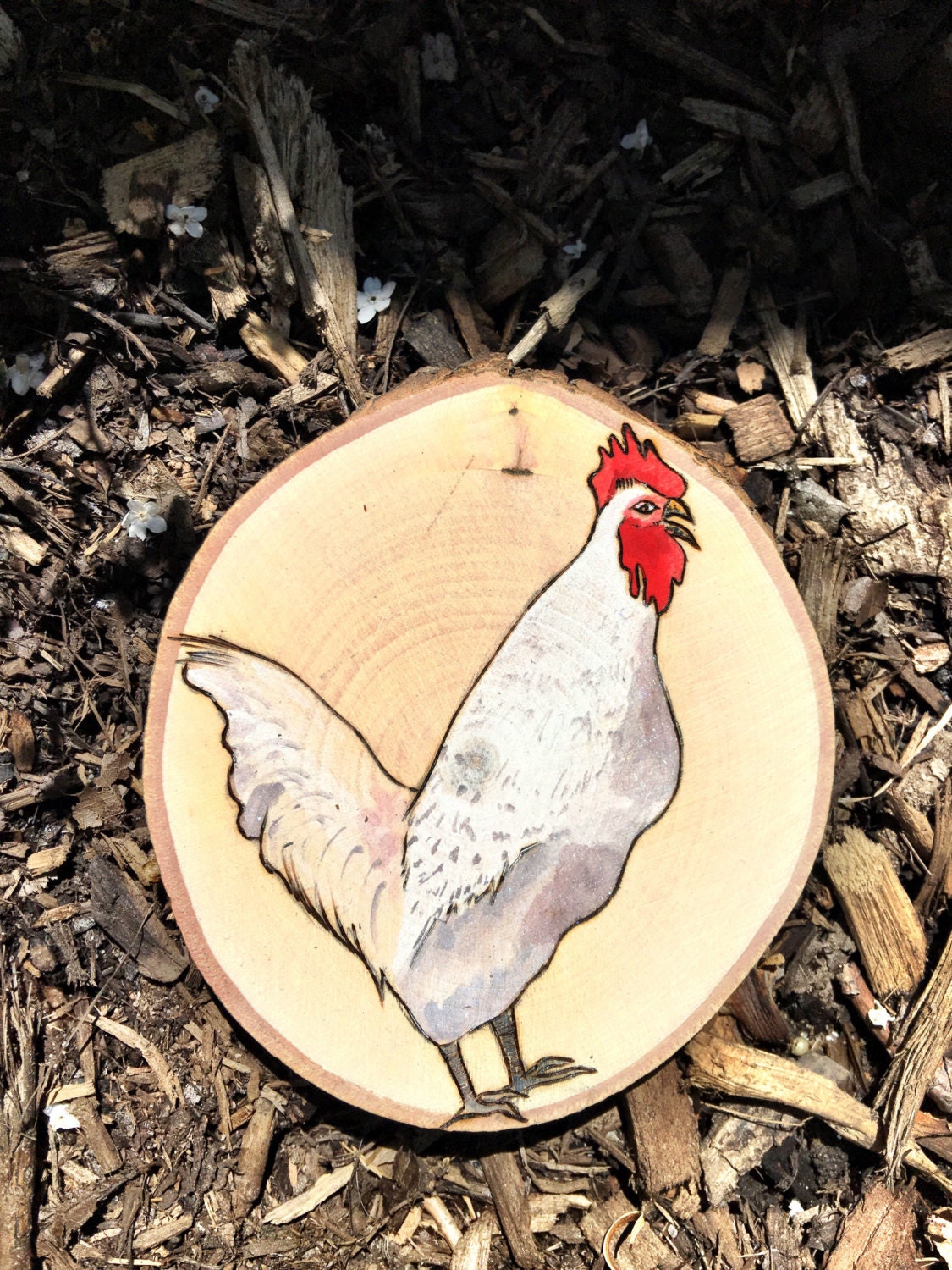 Rooster Coaster Set of 4 Handpainted and Woodburned on Maple - Etsy