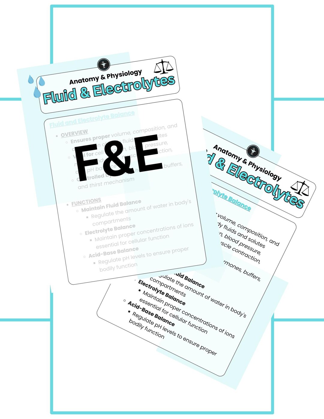 Fluid & Electrolyte Balance: Anatomy and Physiology Study Guide (17 ...