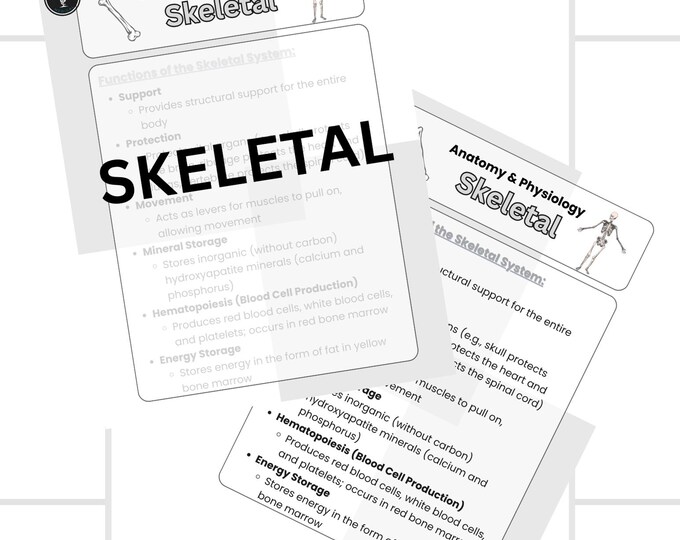 Skeletal System – Anatomy & Physiology Digital Study Guide (26 Pages ...