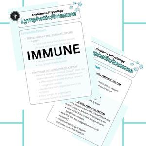 Immune (lymphatic) System – Anatomy & Physiology Digital Study Guide ...