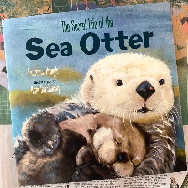 Sea Otter - Etsy