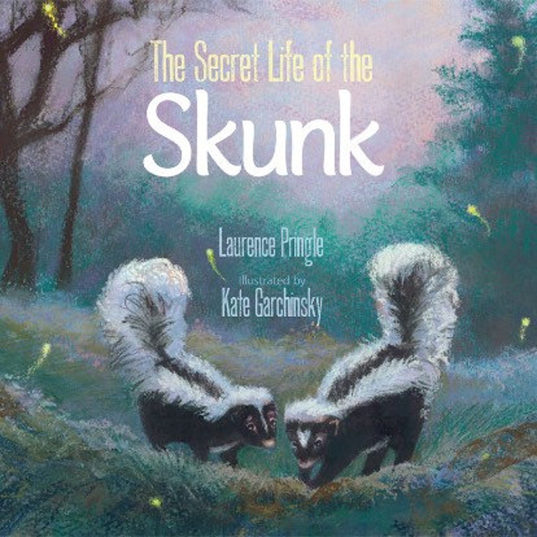 Secret Life of the SKUNK Illustrated Children's Book - Etsy