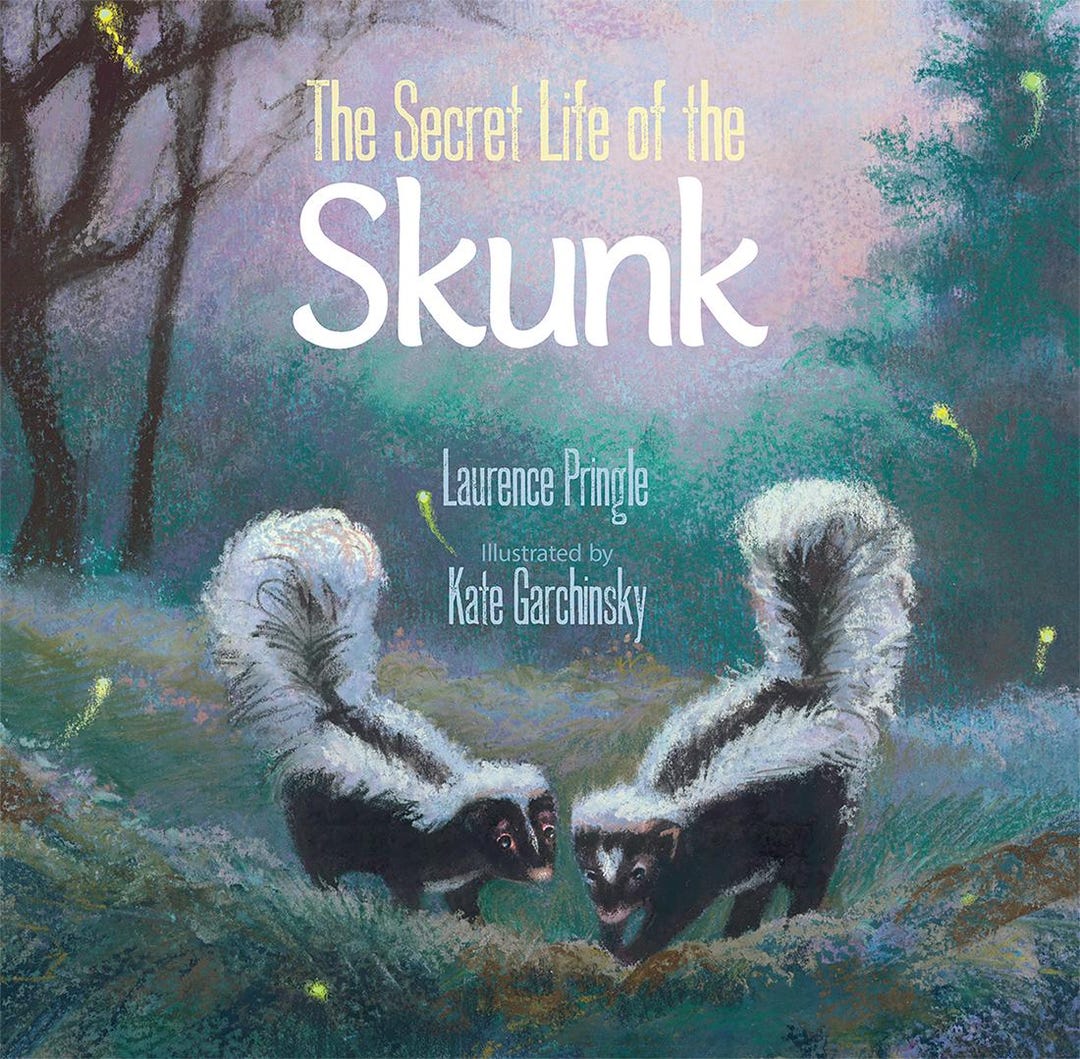 Secret Life of the SKUNK Illustrated Children's Book Signed and ...