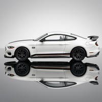 222 Ford Mustang Car Funeral Memorial Adult Cremation Urn - Etsy Canada