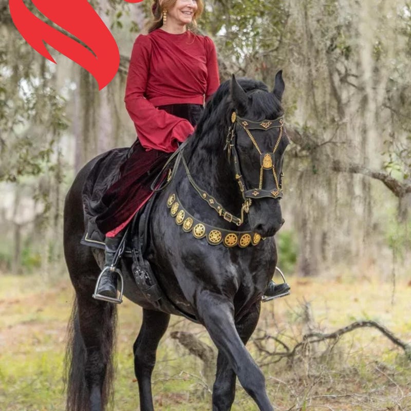 Leather Bridle Plate - Etsy UK