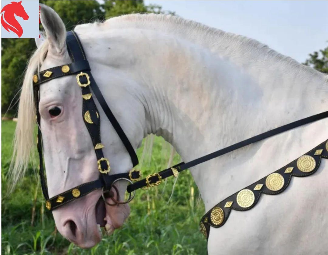 Fancy Horse Bridle in Baroque Style With Free Reins, Handmade Stitch ...