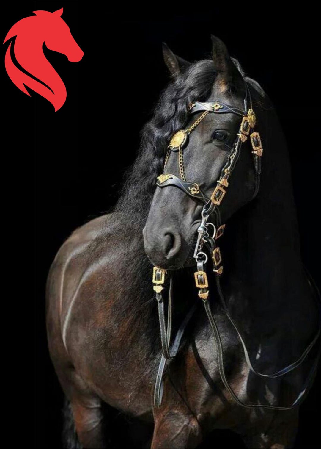 Fancy Horse Bridle in Baroque Style, Genuine Cowhide Leather With Gold ...