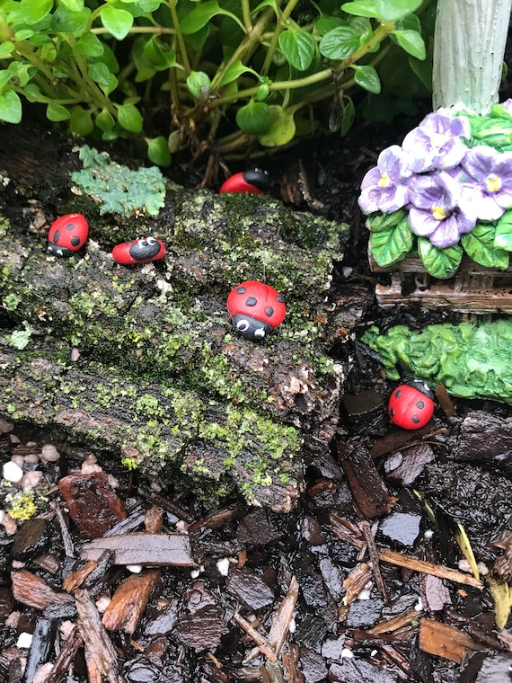6 Tiny Red Ladybugs for a Outdoor Fairy Garden or Birthday | Etsy