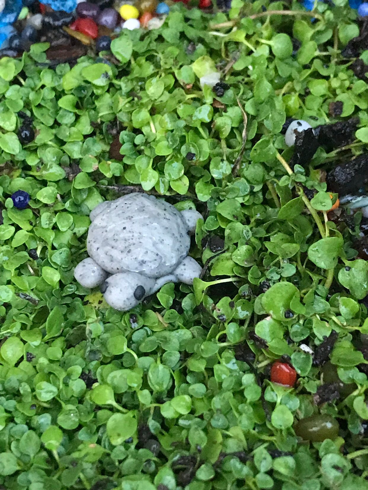 One Faux Granite Turtle Statue Tiny Fairy Garden Turtle | Etsy