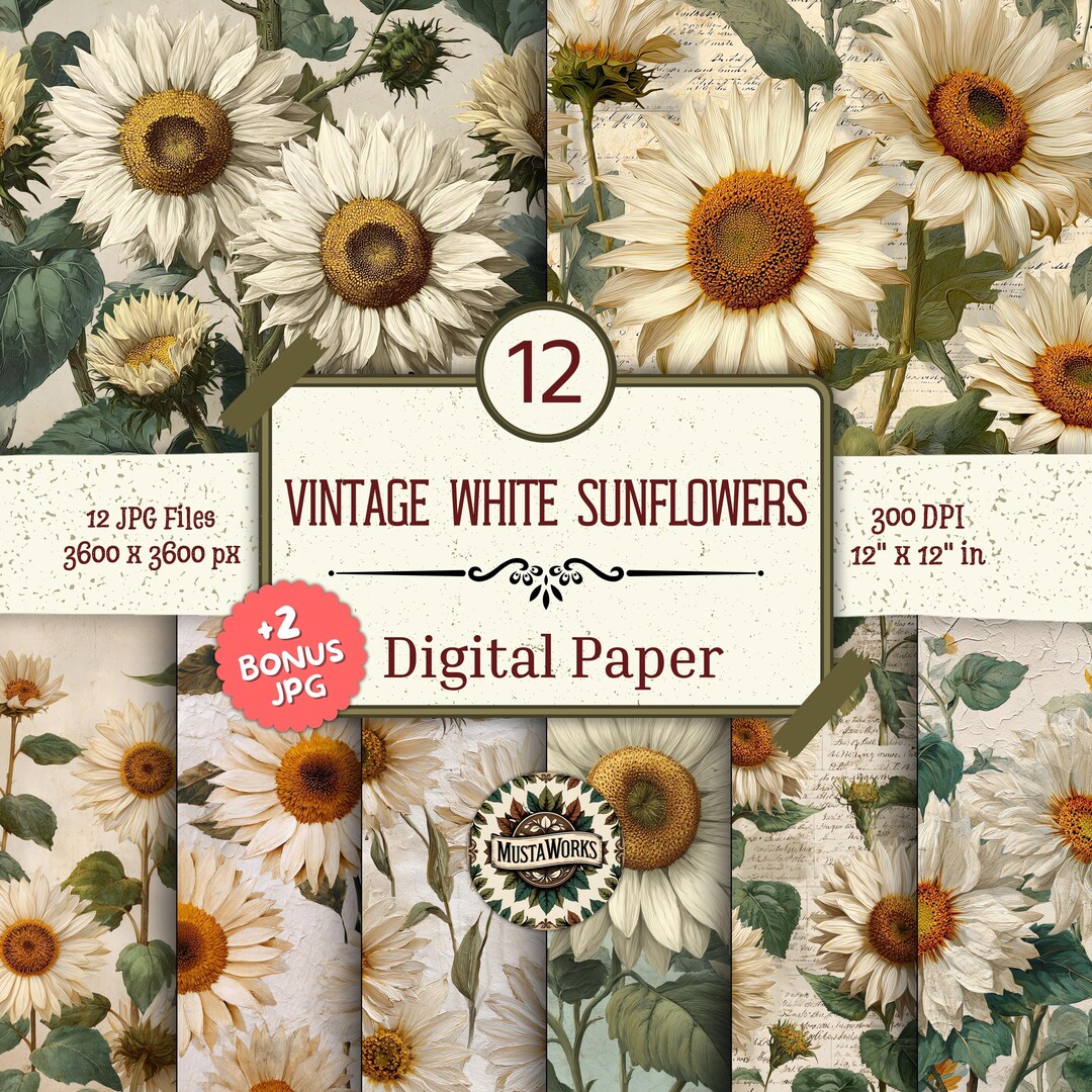 Vintage White Sunflowers Digital Paper Pack – 12 Designs +2 Bonus ...