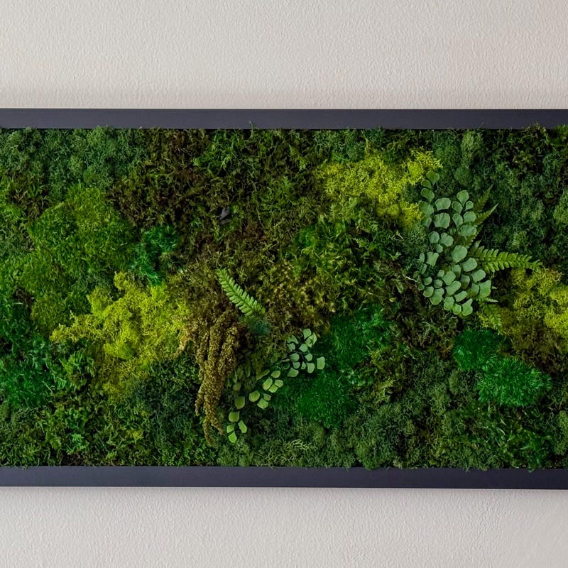 Moss Wall Decor, - Etsy