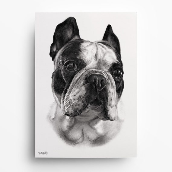 Dog Portrait Pencil Drawing Black&white Let Dog Draw | Etsy