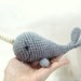 Amigurumi Whale Pattern, Crochet Sea Animal, Pdf Tutorial, Narwhal ...