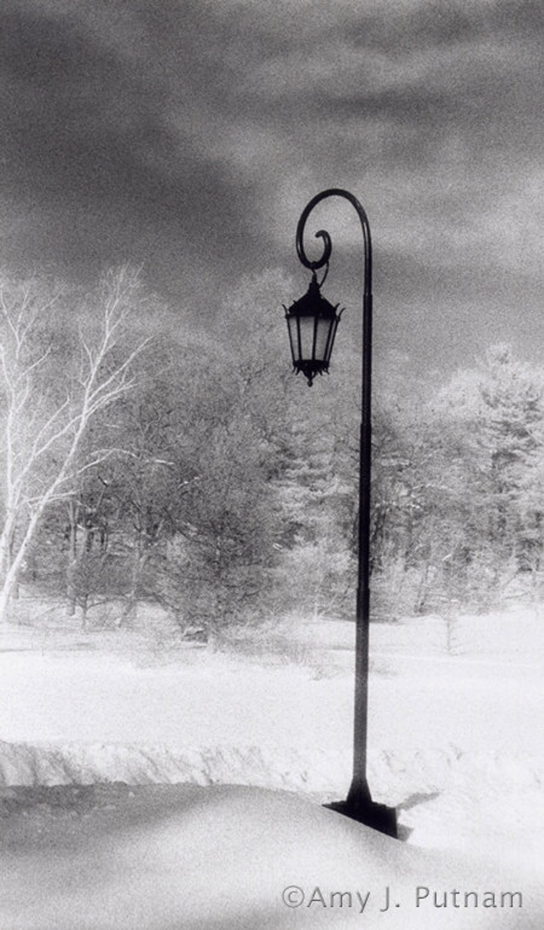 Photo Magnet - Wellesley College Lamp Post, Black and White, Infrared ...