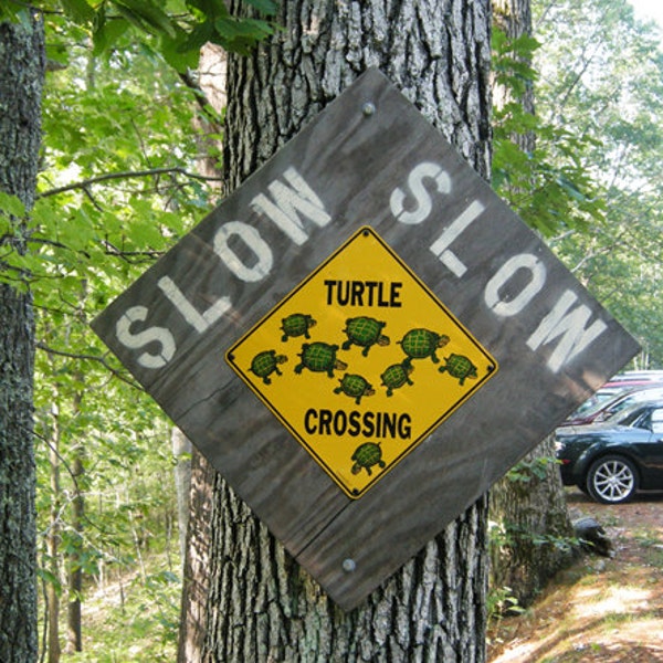 Turtle Crossing - Etsy